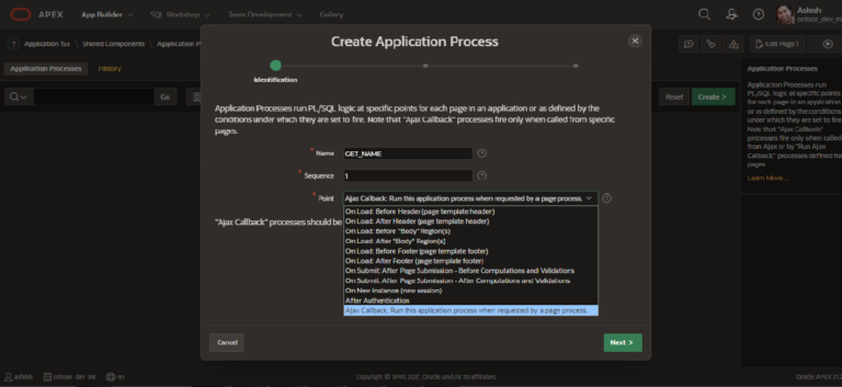 How to create application process and it's usage In Oracle APEX ...