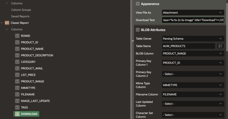 Efficiently File Download in Oracle APEX | Ontoor Solutions - Ontoor blogs